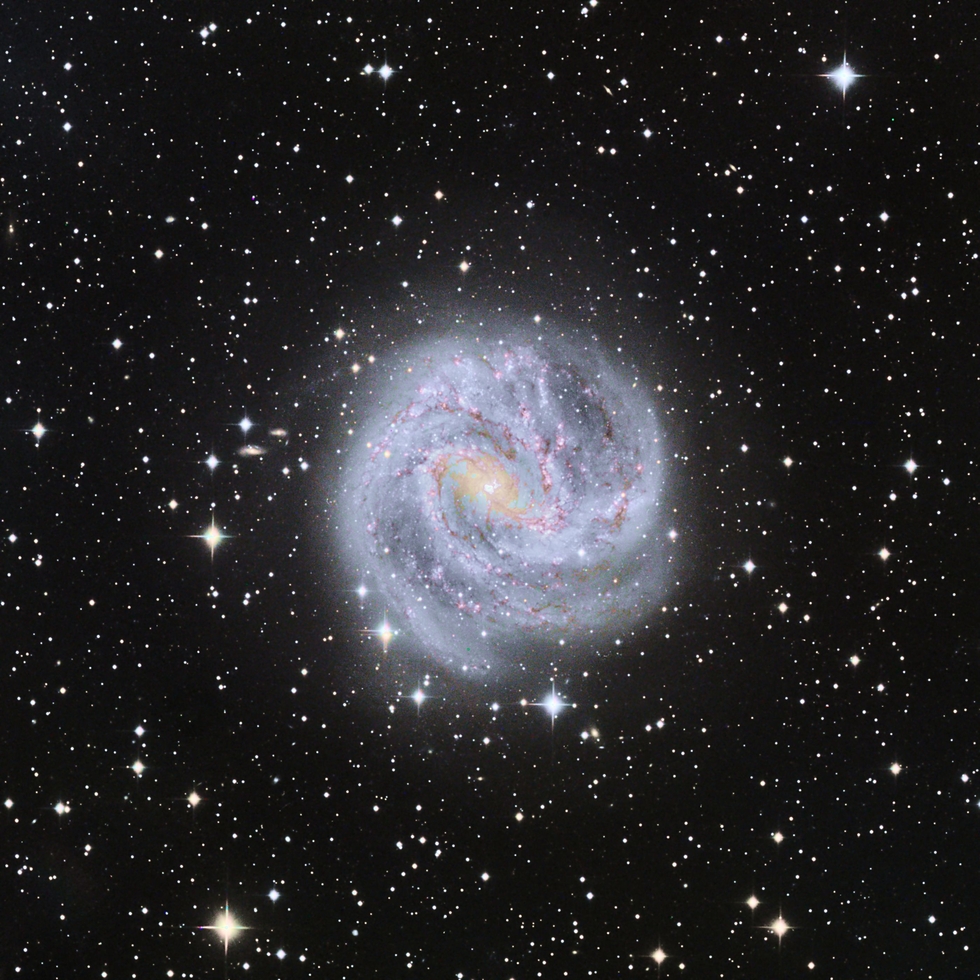 The Southern Pinwheel Galaxy M83 | Telescope Live